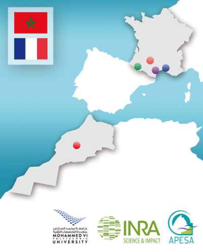 Partners – Atlass Project